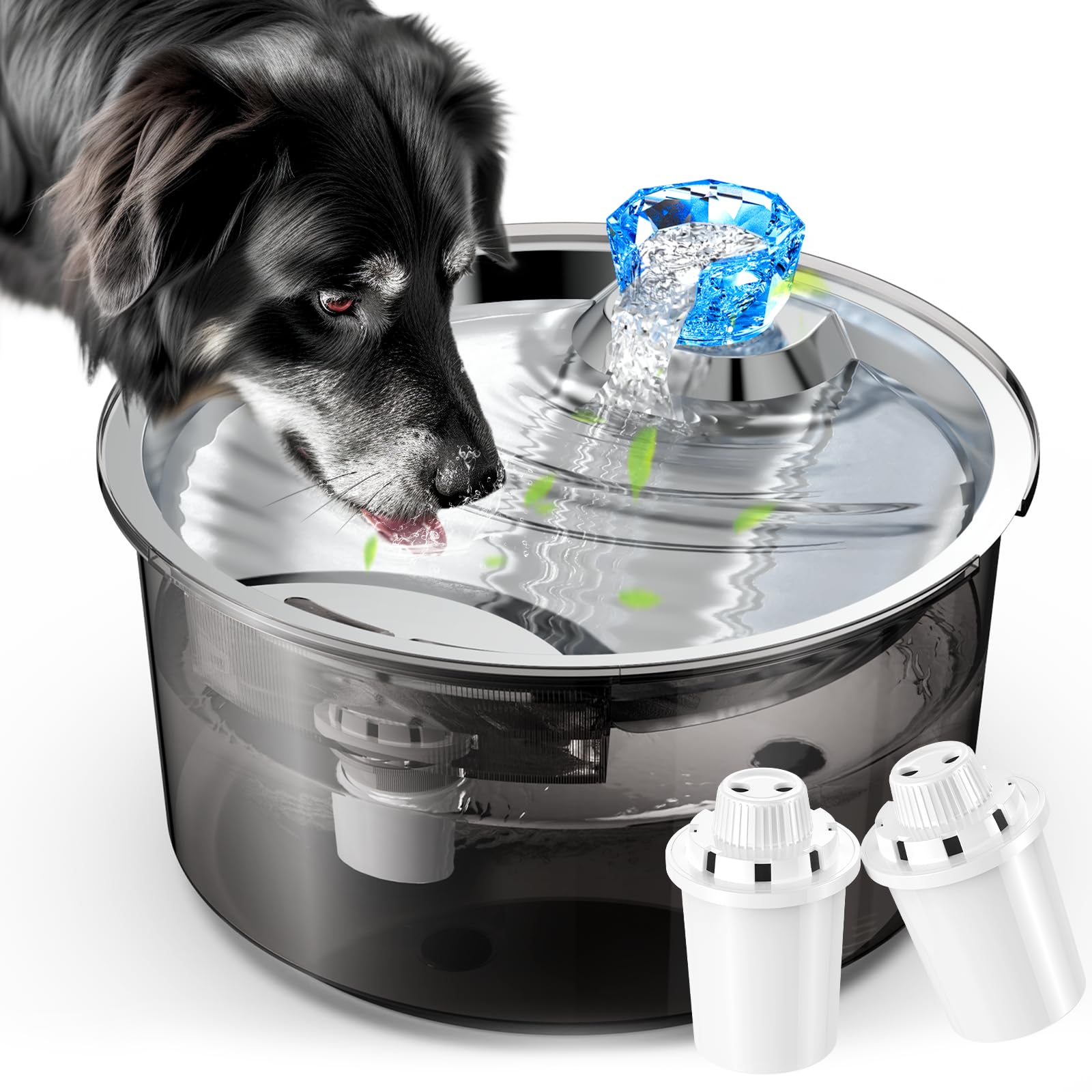 2.6Gal/10L Dog Water Fountain for Dogs & Cats & Multiple Pets – LESOTC